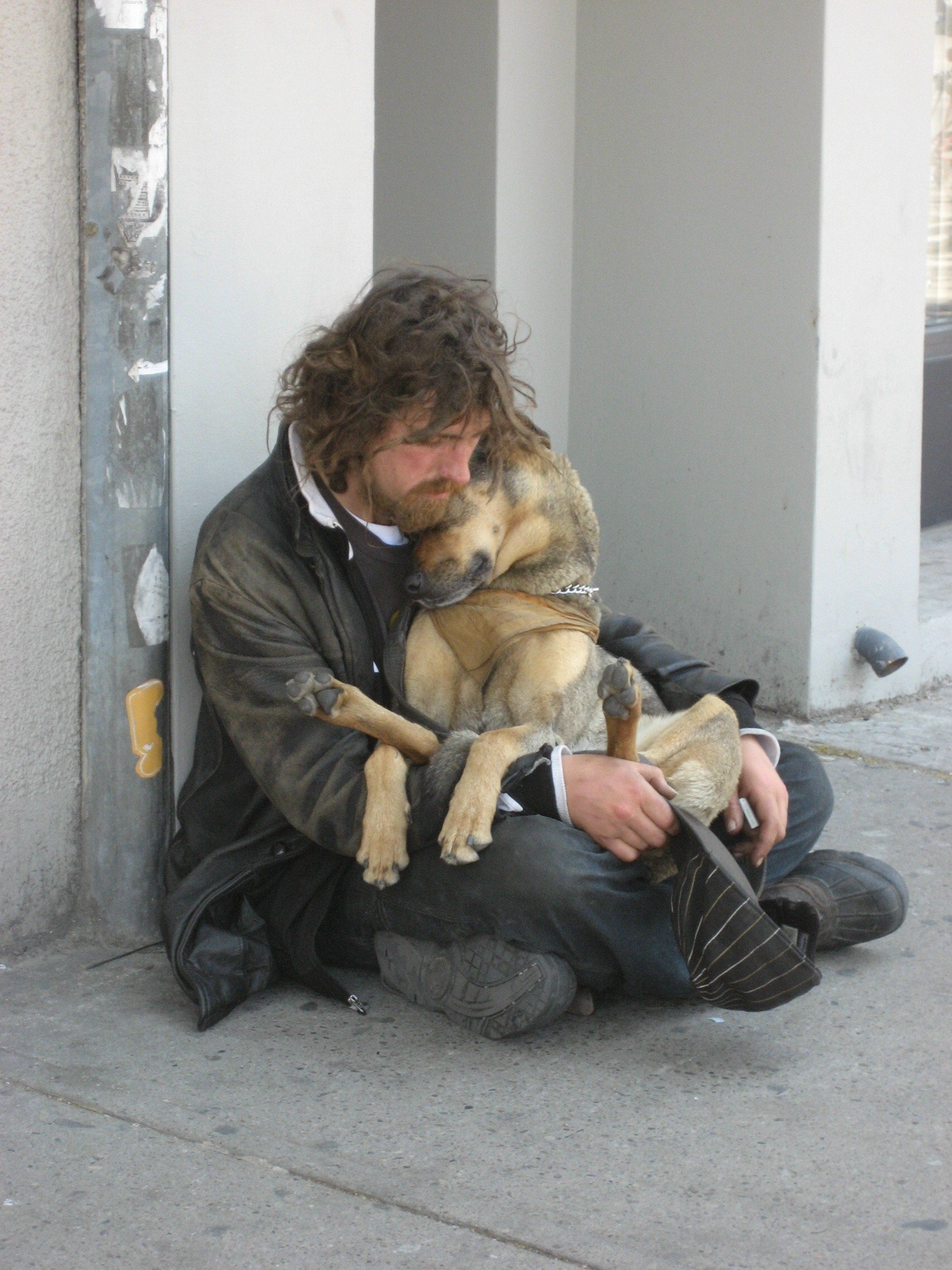 Donate to Feeding Pets of the Homeless