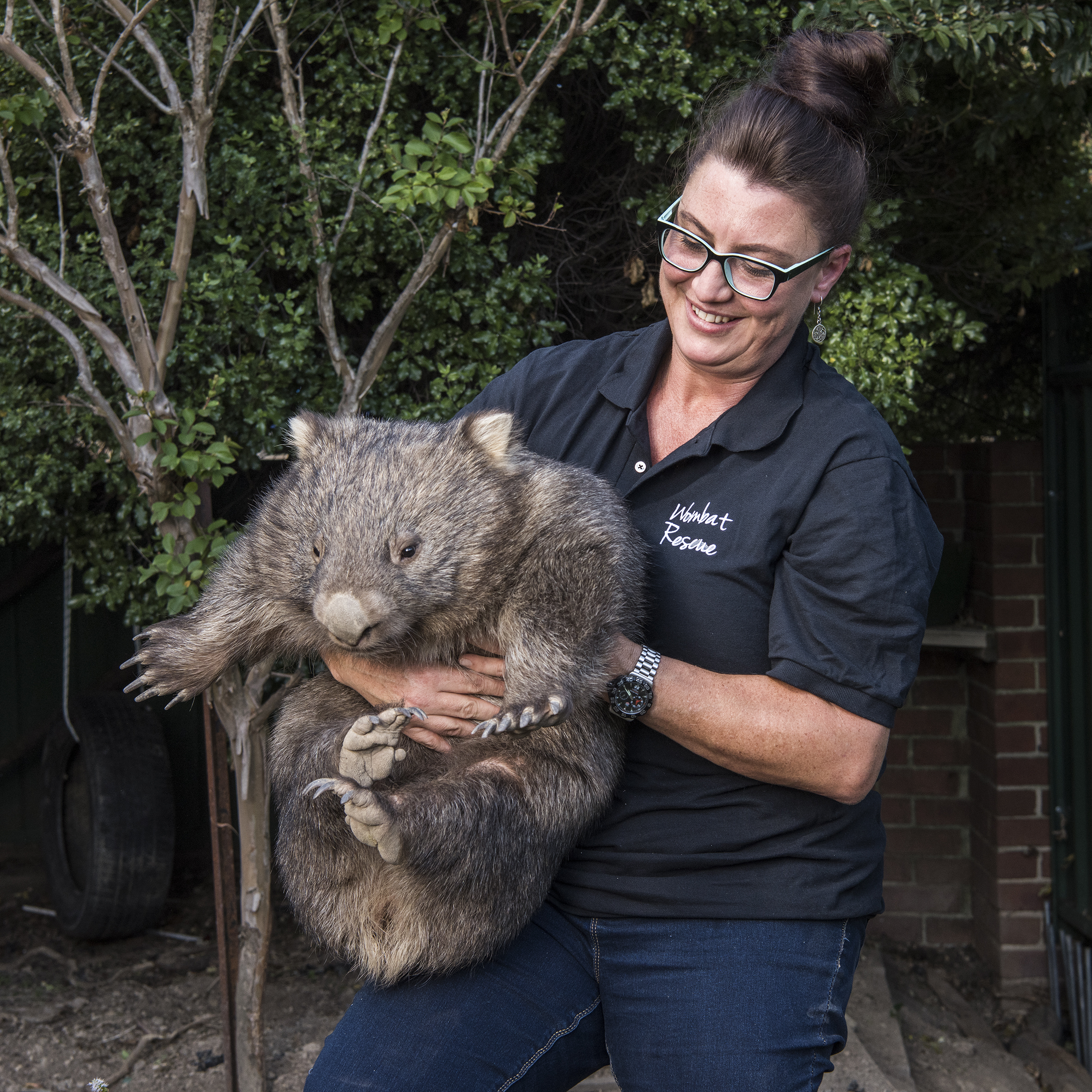 Donate to Wombat Support and Rescue NSW/ACT Incorporated